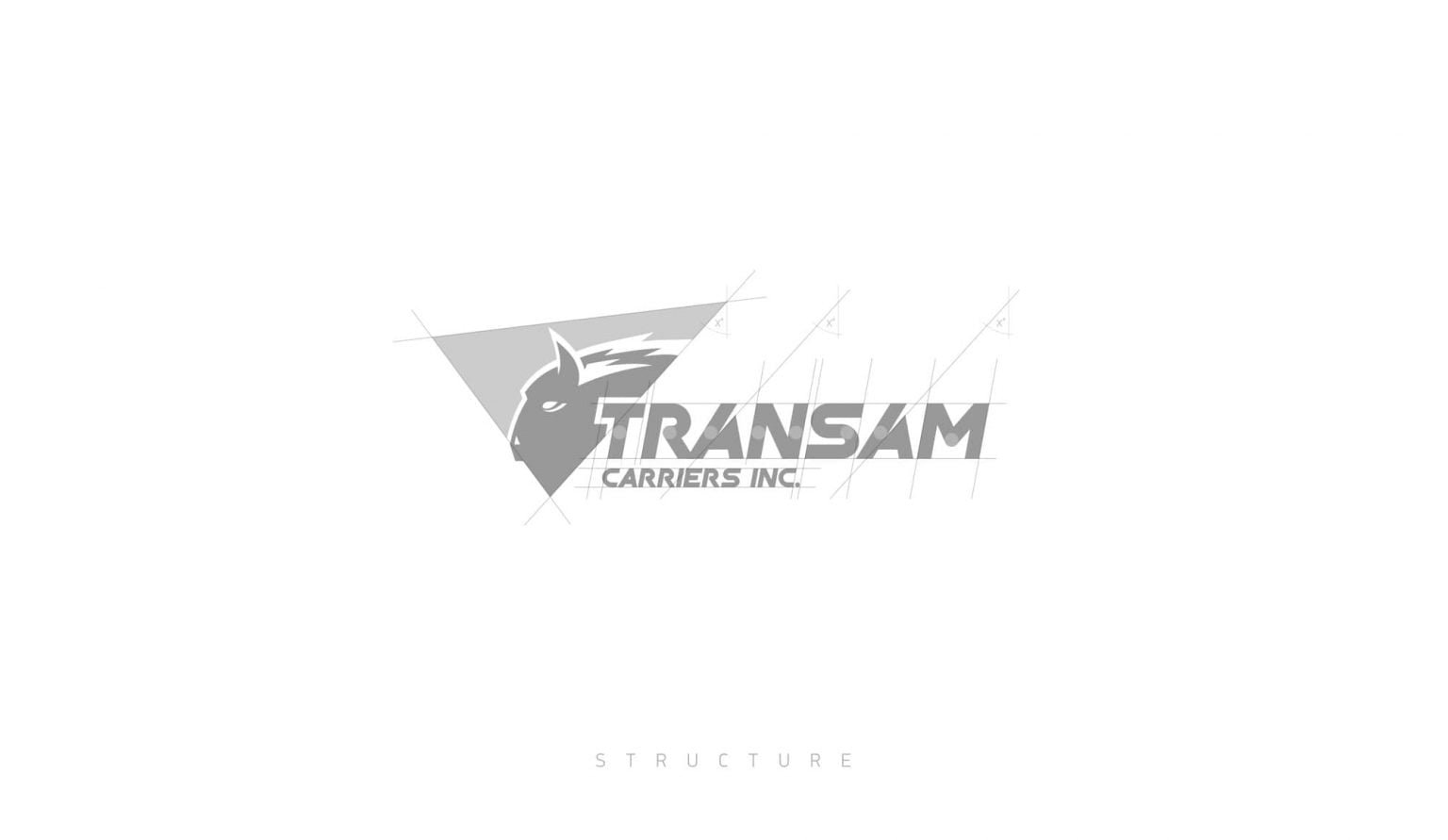 Branding for a transportation company. Logo, web design & photography