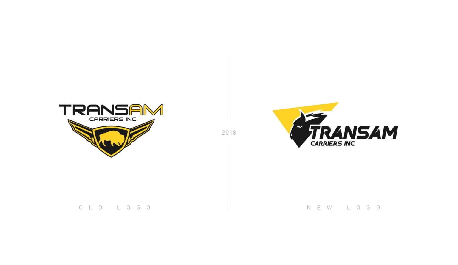 Branding for a transportation company. Logo, web design & photography